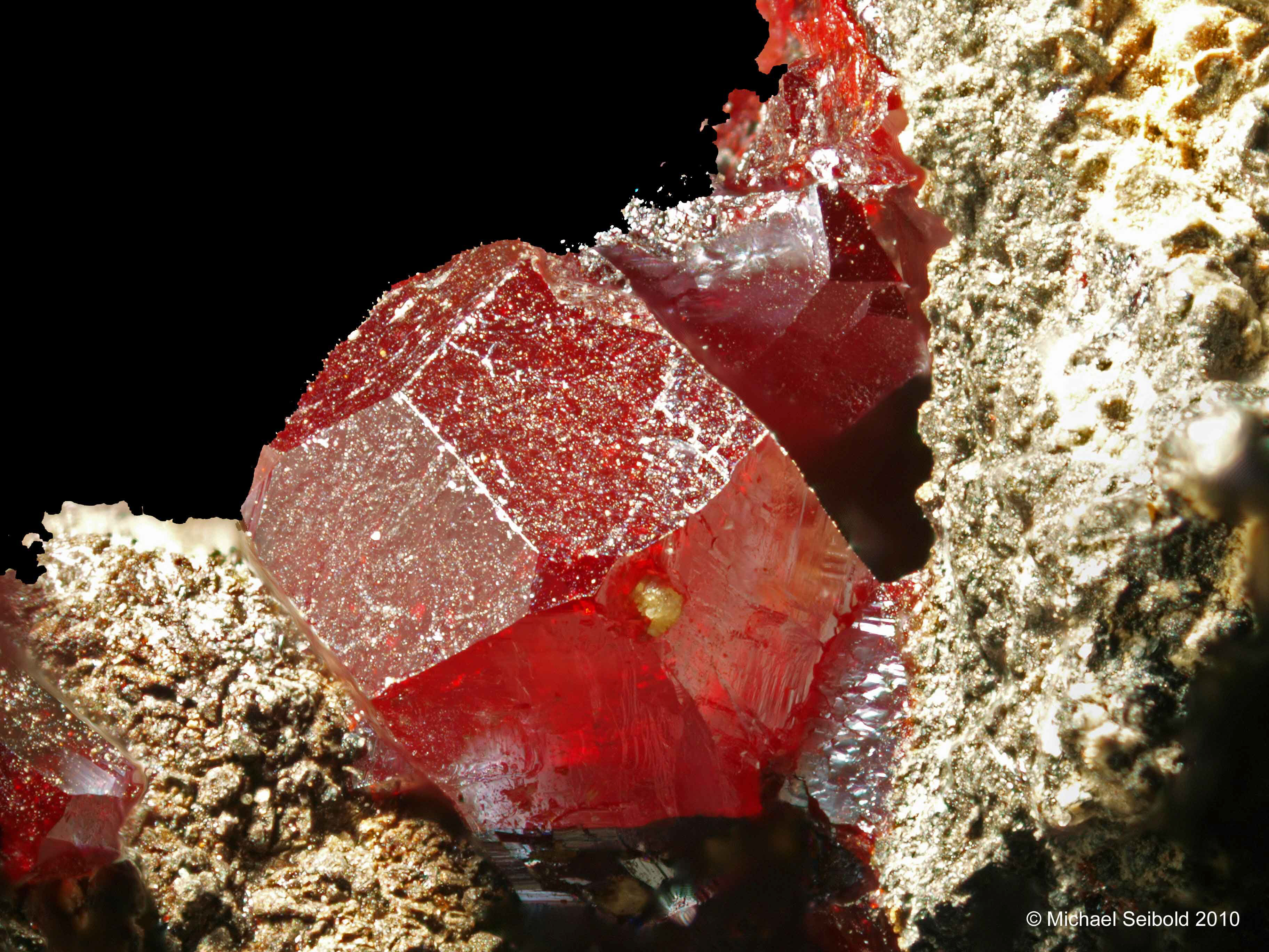 StackShot 3X Macro Rail Package