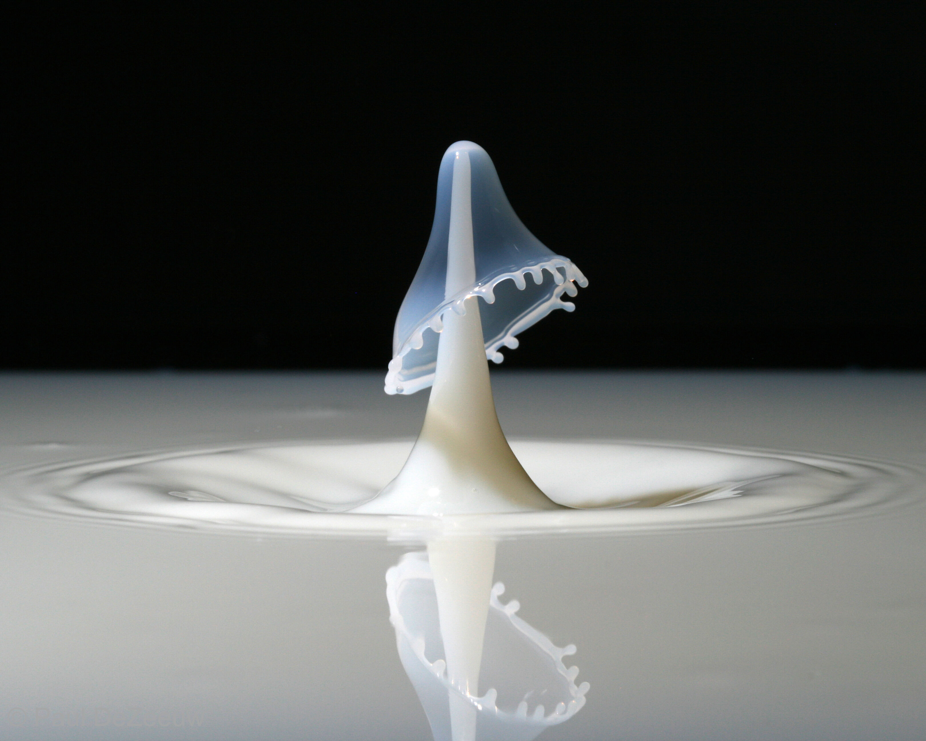 StopShot Water Drop Photography Kit