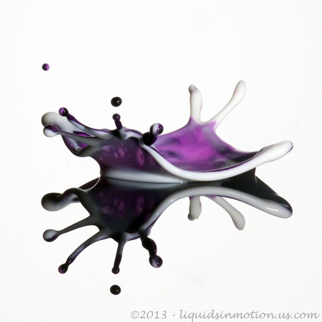 StopShot Water Drop Photography Kit