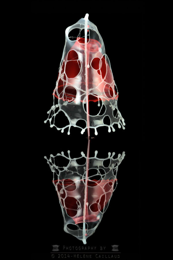 How to Shoot Water Drops with StopShot