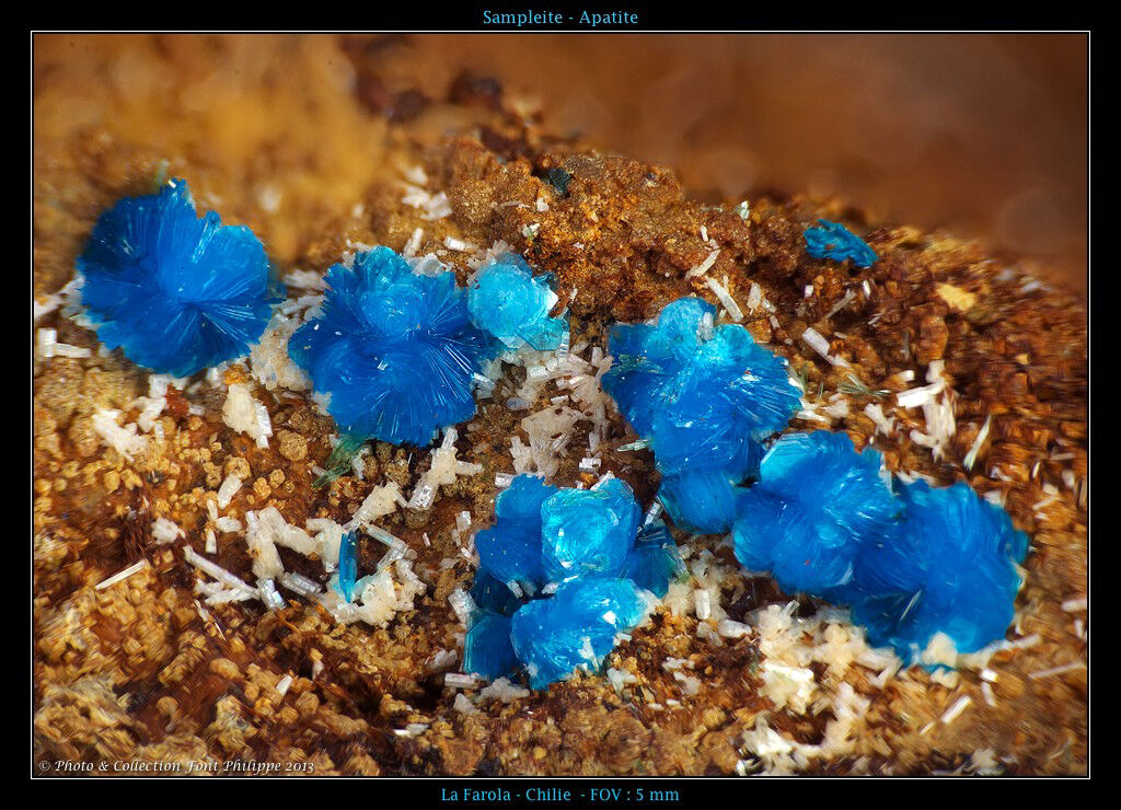 StackShot Macro Rail Package