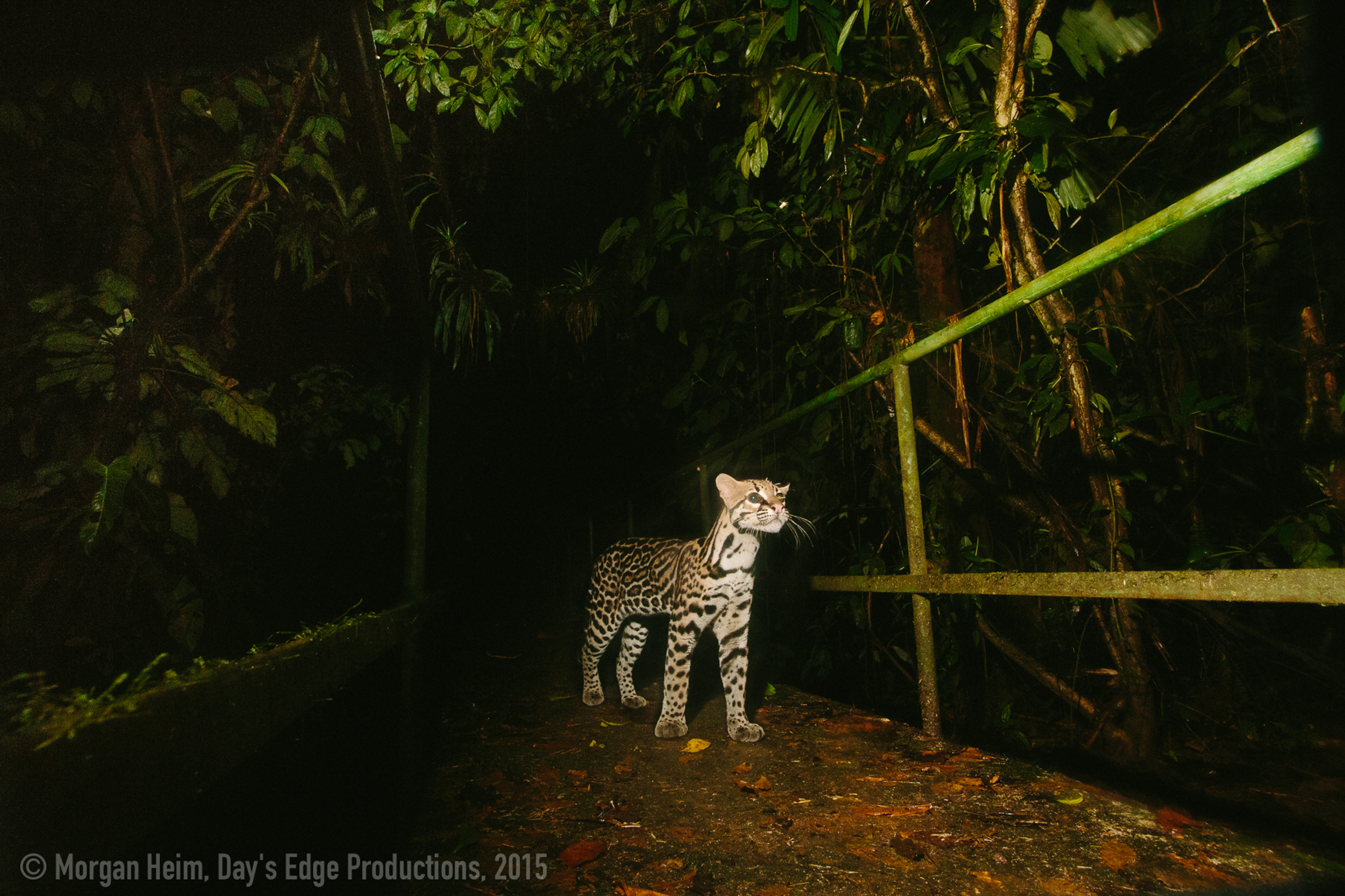 Sabre II - The Next Generation LIDAR Sensor