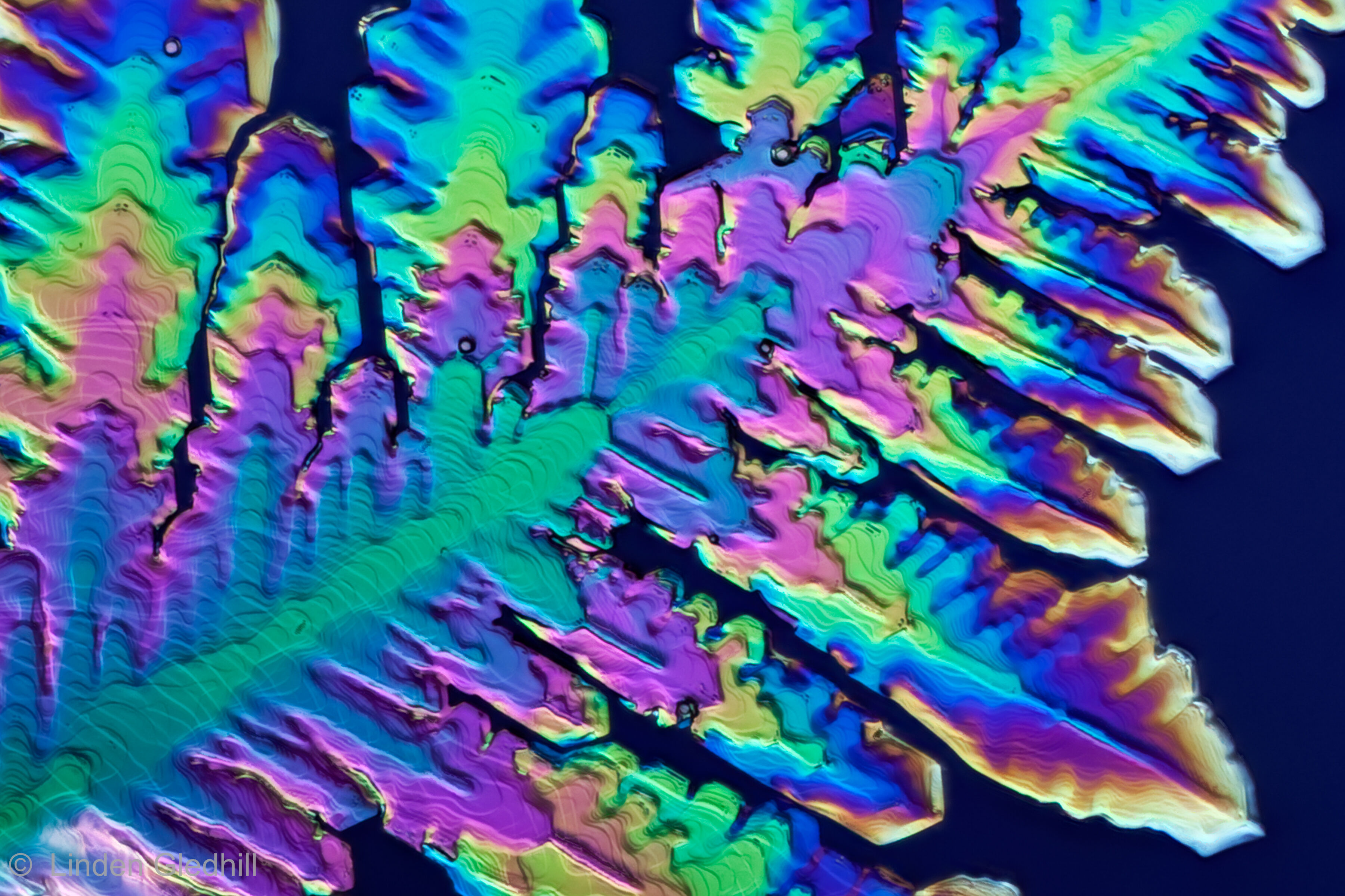 StackShot 3X Macro Rail Package